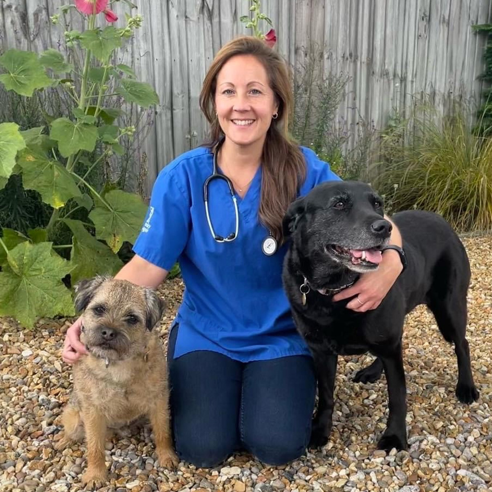 About - Highgate Vets : Highgate Vets