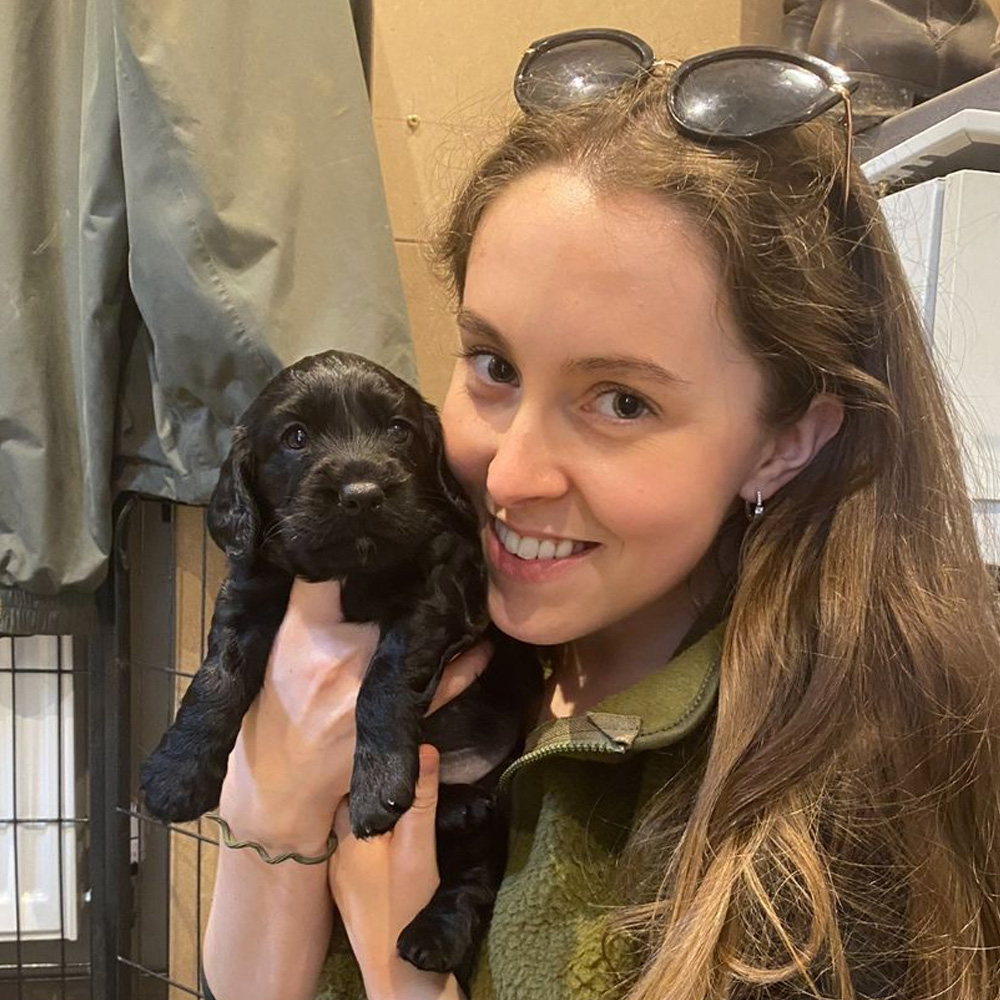 About - Highgate Vets : Highgate Vets