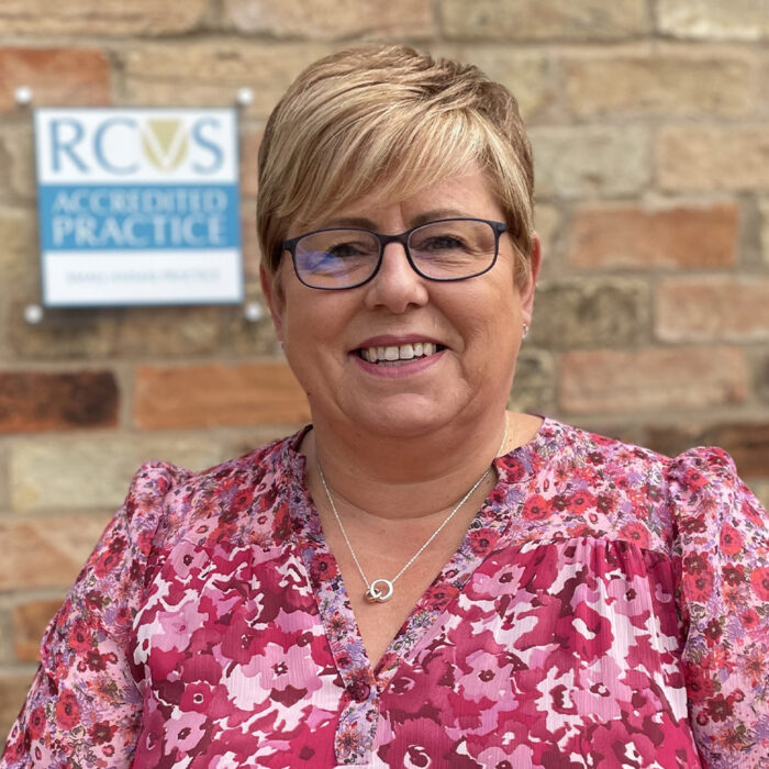 About - Highgate Vets : Highgate Vets