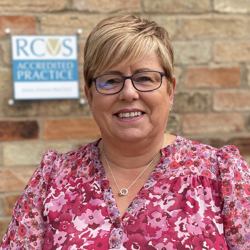 About - Highgate Vets : Highgate Vets