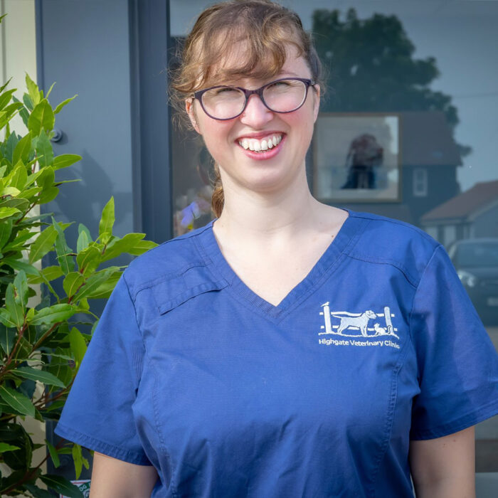 About - Highgate Vets : Highgate Vets